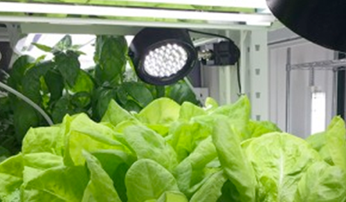 Product Strengths - SERIC., LTD.